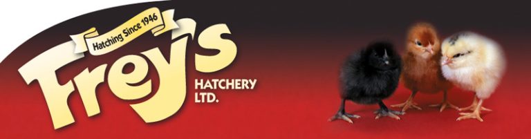 Poultry Feed and Supplies | Double JB Feeds