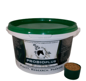 Equine Feed and Supply | Double JB Feeds