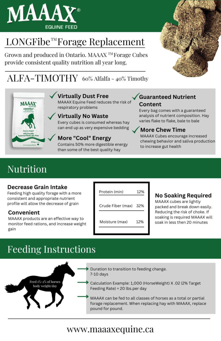 Equine Feed and Supply | Double JB Feeds